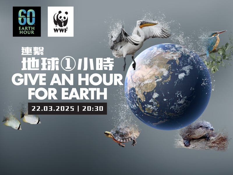 About Earth Hour 2025 – Earth Hour 2025